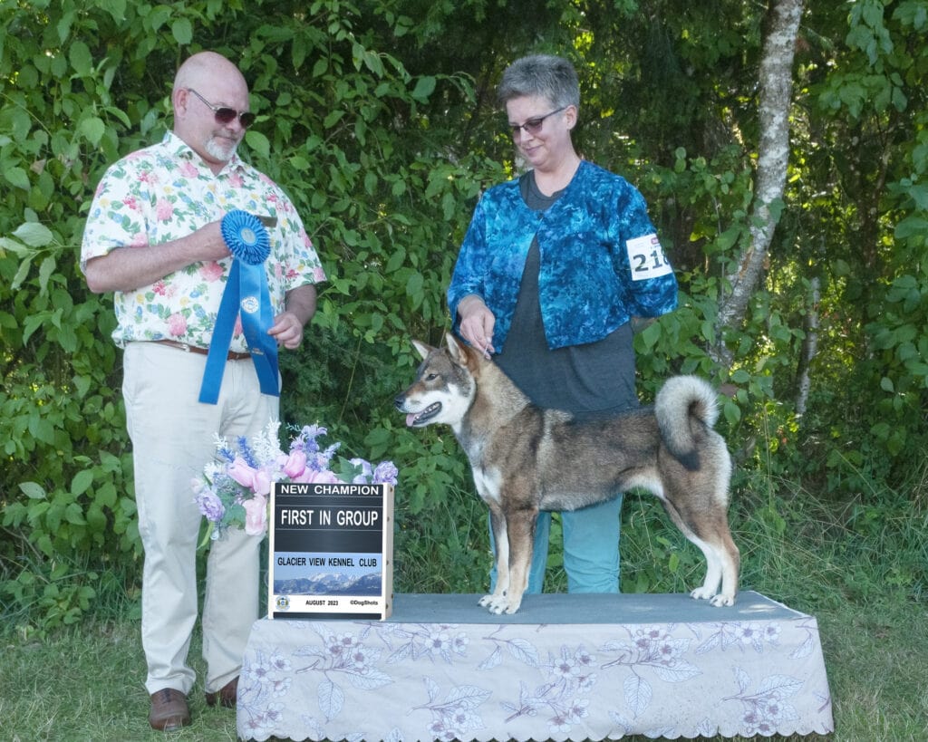 Sayuri's Big Debut! - Akashima Shikoku Kennels